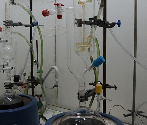 Facilities | The Goicoechea Group