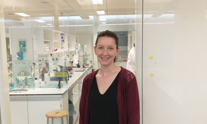 People | The Goicoechea Group